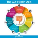 Why Your Digestive System is Where Health Begins - Dr. Daniel Functional Medicine