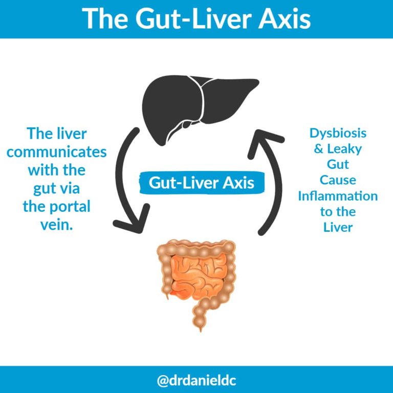 Why Your Digestive System is Where Health Begins - Dr. Daniel ...